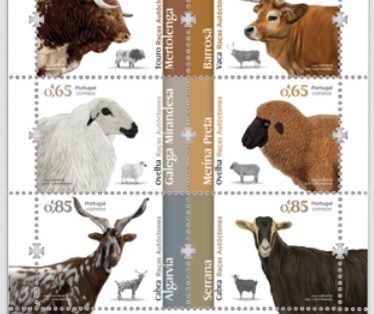 Vaca barrosã entre raças autóctones homenageadas com selos dos CTT ...
