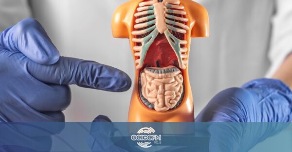 Médicos alertam para a importância do diagnóstico precoce do Cancro ...